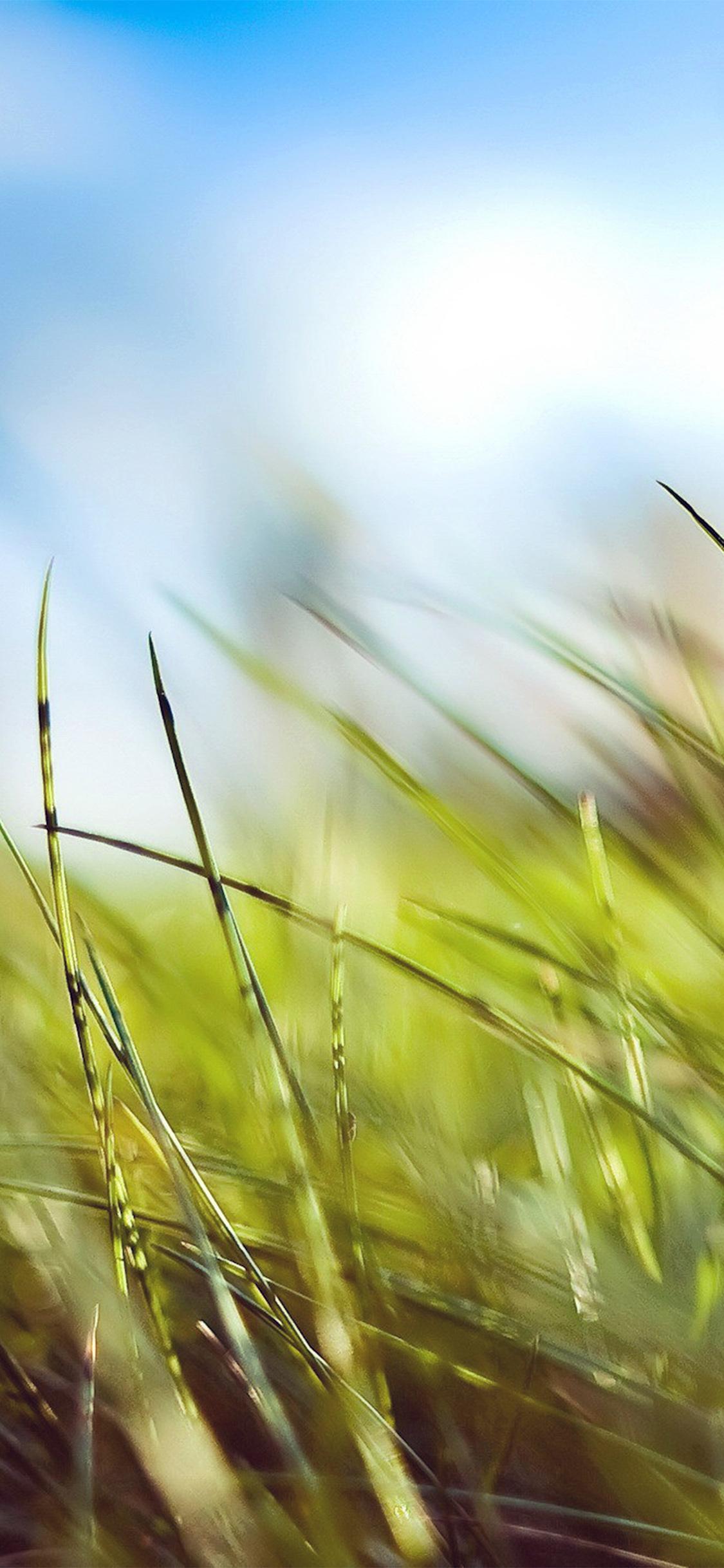 Nechar Wallpapers - Top Free Nechar Backgrounds - WallpaperAccess