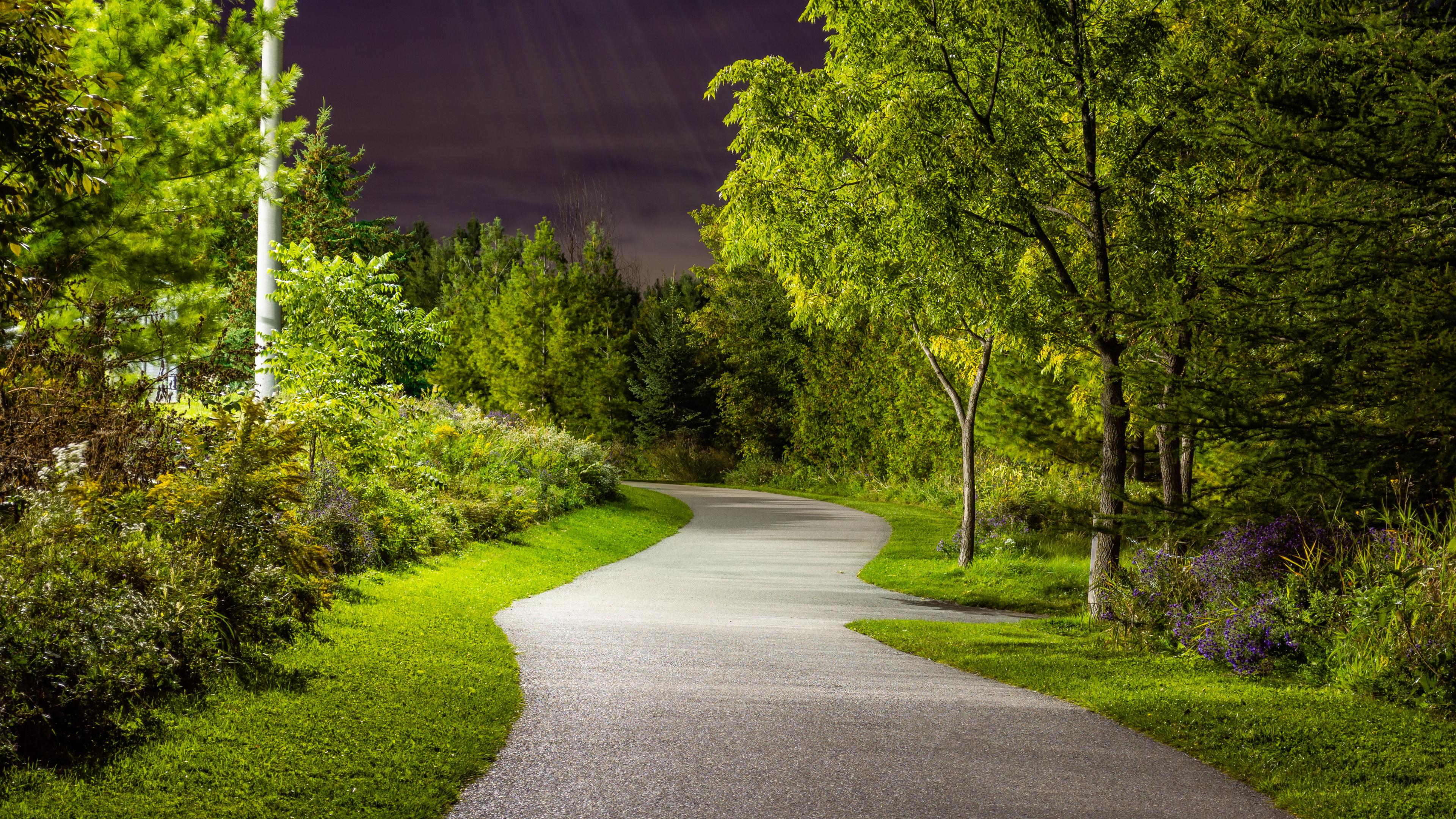 Nechar Wallpapers - Top Free Nechar Backgrounds - WallpaperAccess