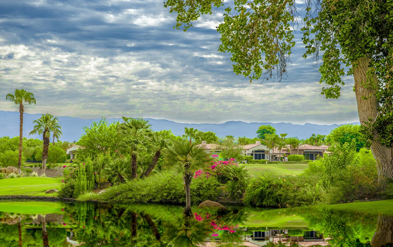 Nechar Wallpapers - Top Free Nechar Backgrounds - WallpaperAccess