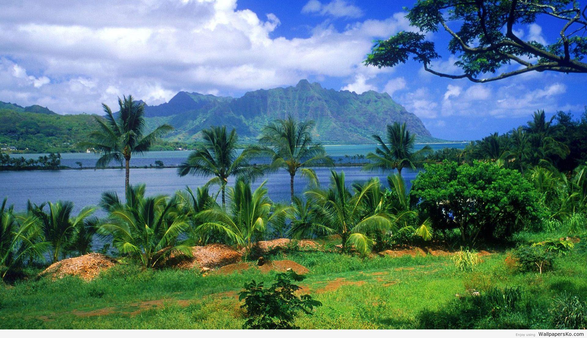 Nechar Wallpapers - Top Free Nechar Backgrounds - WallpaperAccess