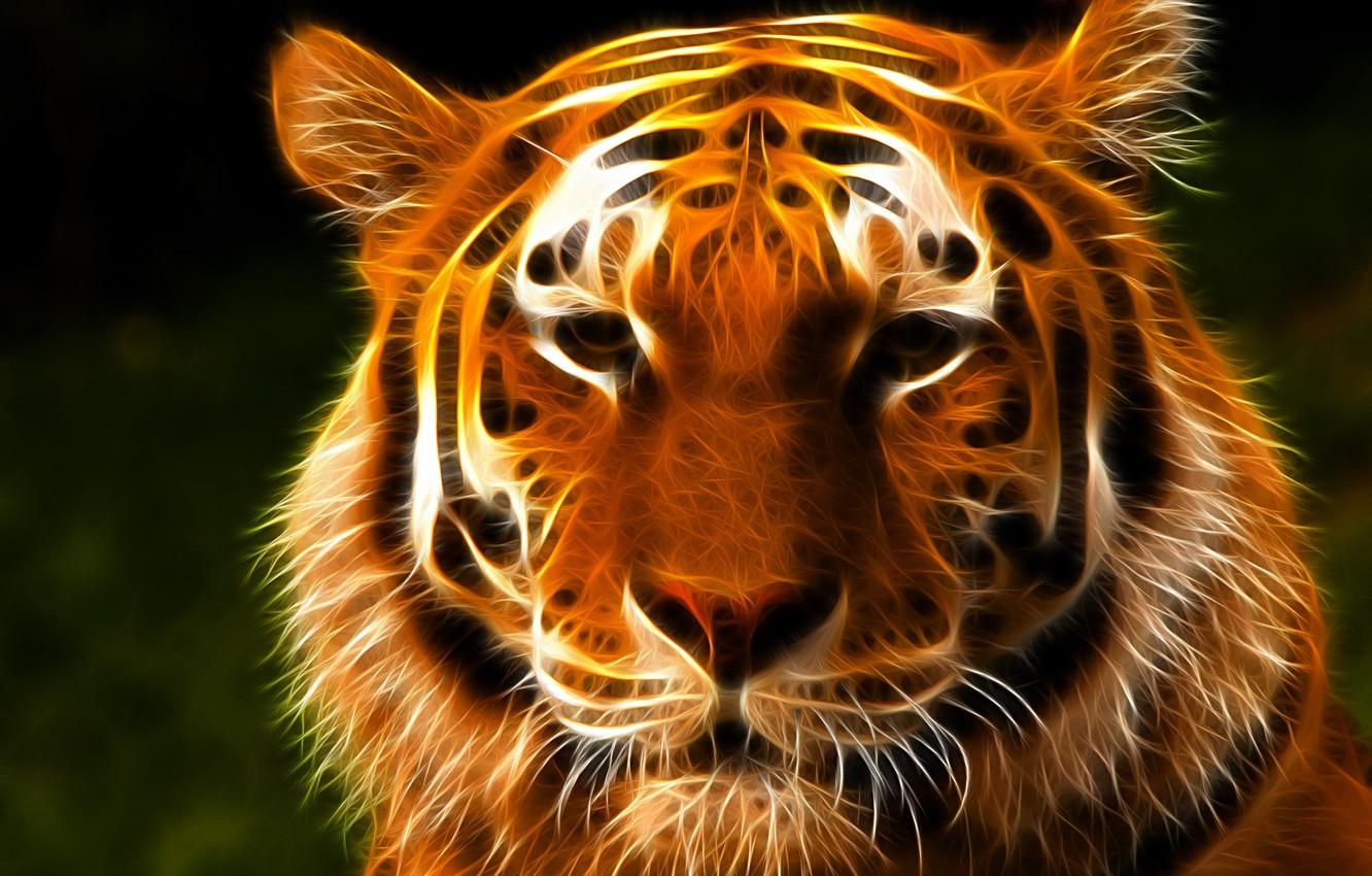 Tiger 3D Wallpapers - Top Free Tiger 3D Backgrounds - WallpaperAccess