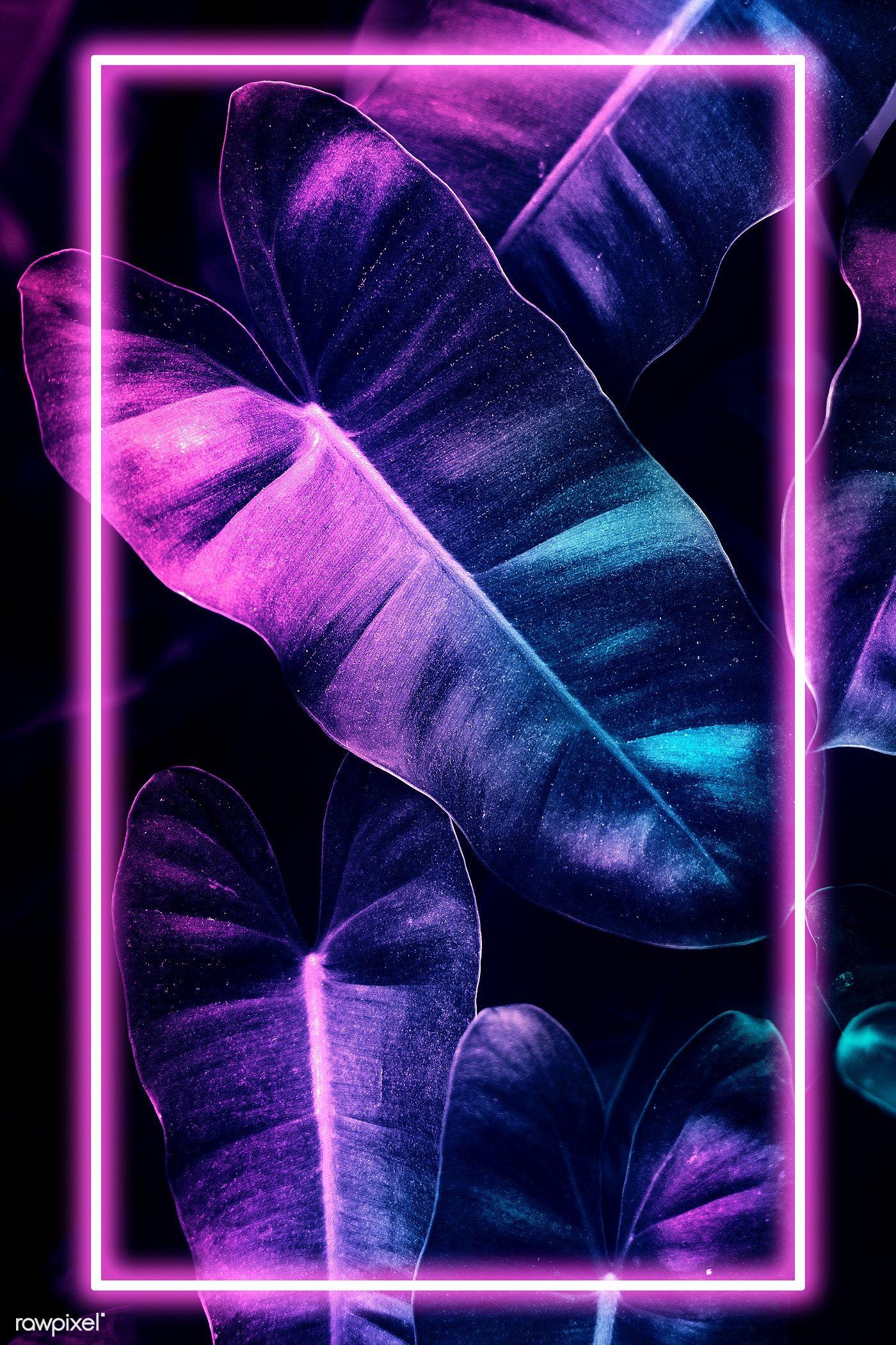 Tropical Neon Wallpapers - Top Free Tropical Neon Backgrounds ...