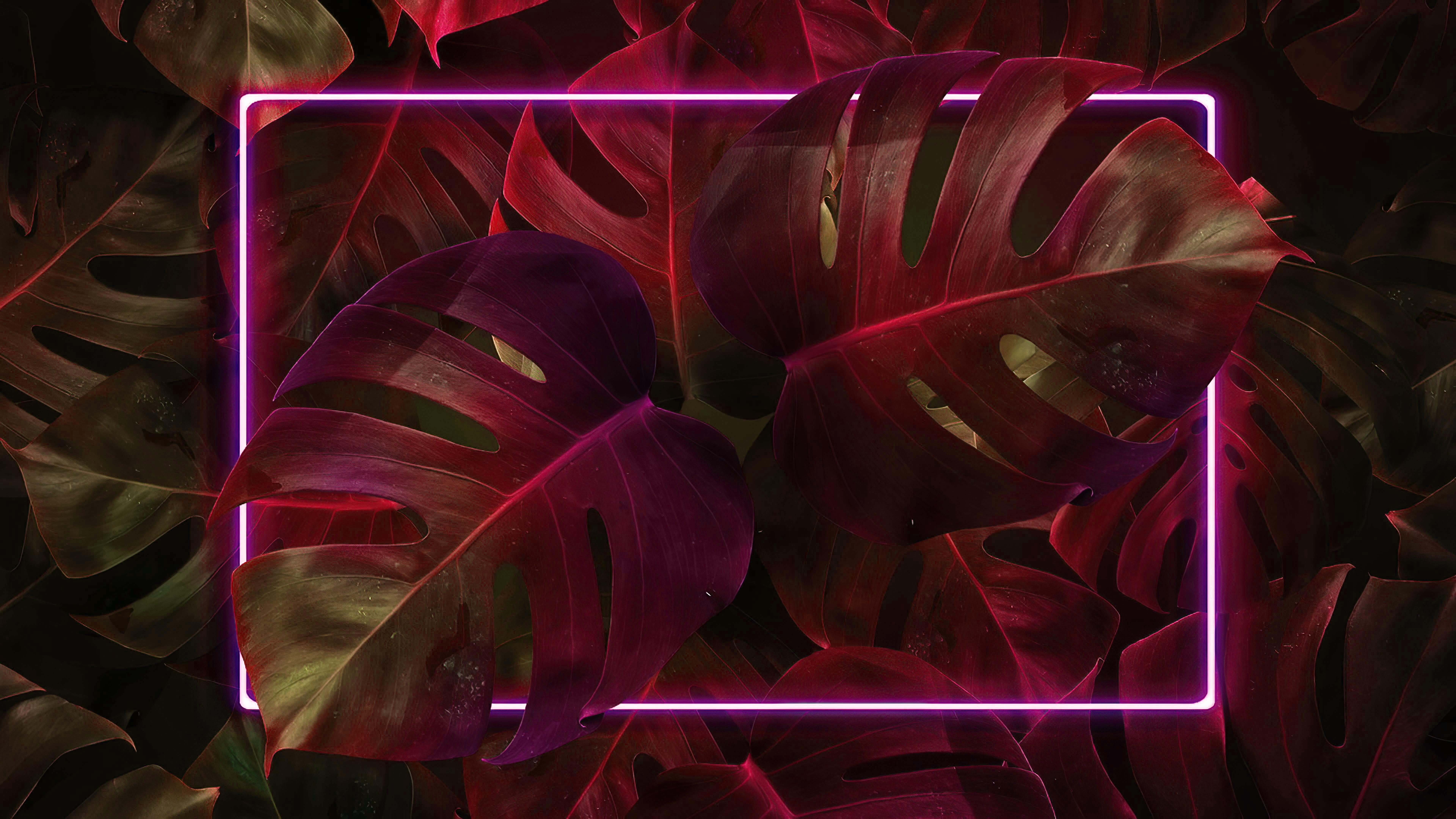 Tropical Neon Wallpapers - Top Free Tropical Neon Backgrounds ...