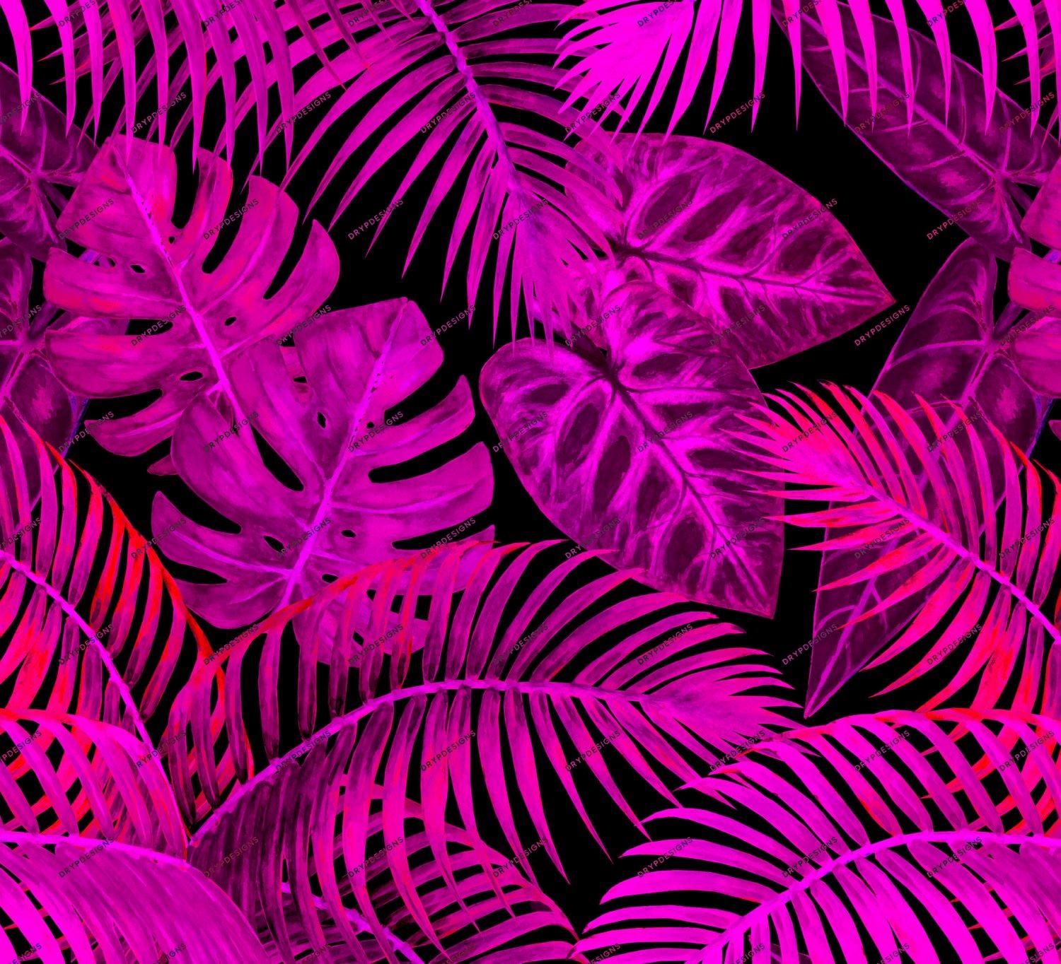 Tropical Neon Wallpapers - Top Free Tropical Neon Backgrounds ...