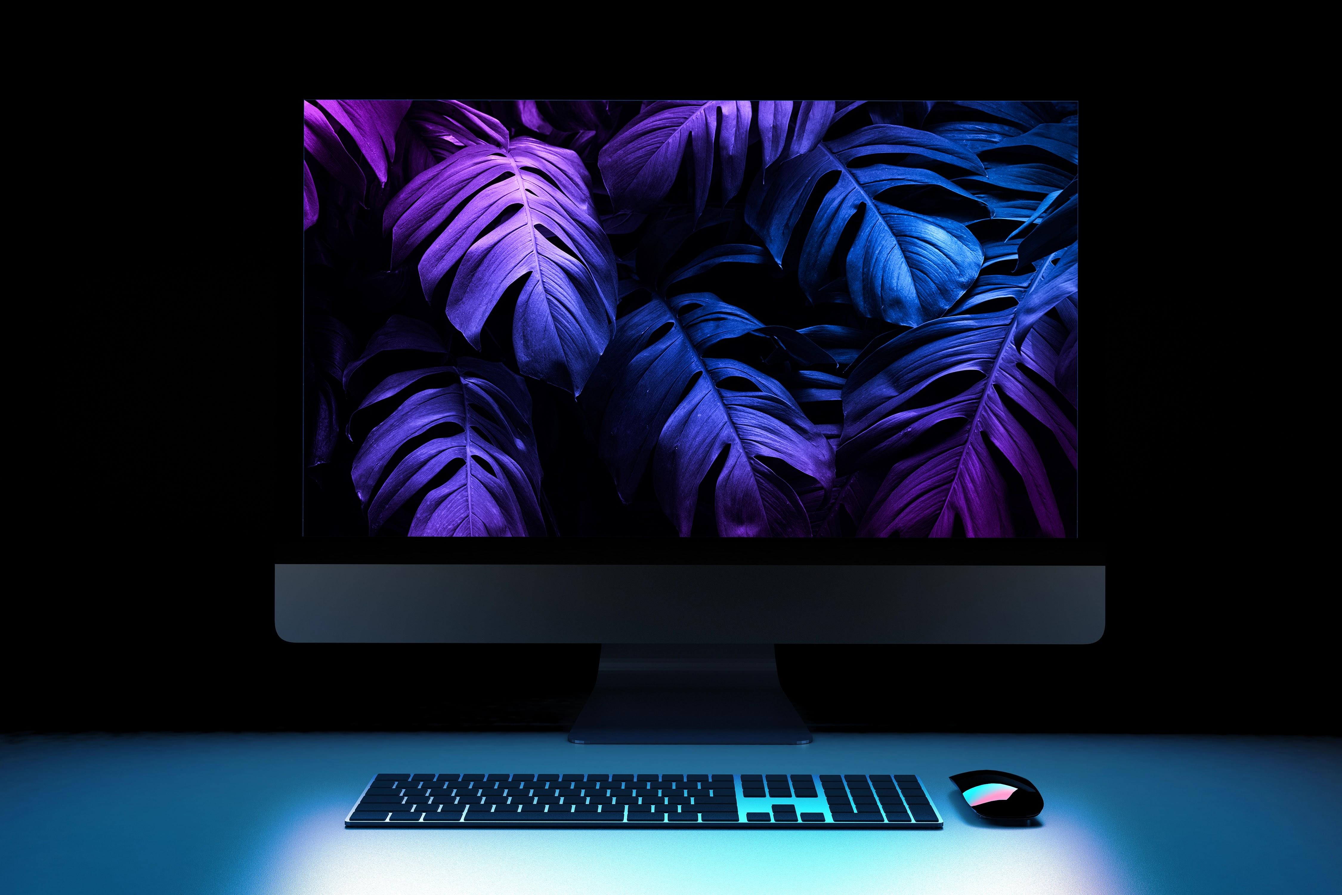 Tropical Neon Wallpapers - Top Free Tropical Neon Backgrounds ...