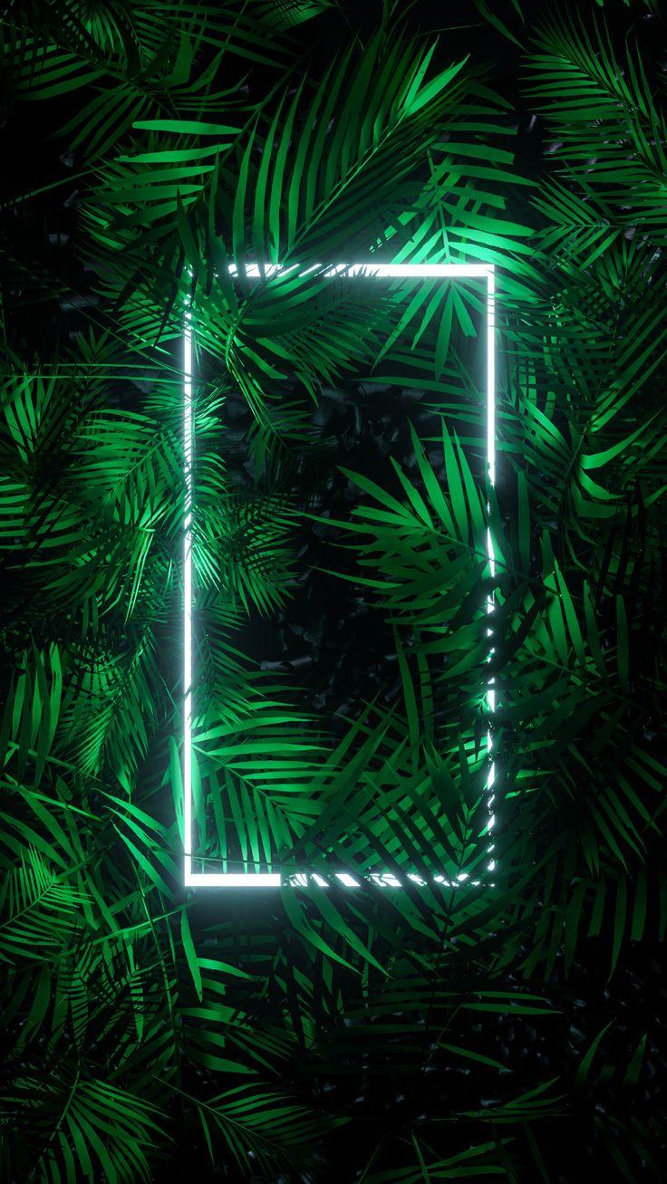 Tropical Neon Wallpapers - Top Free Tropical Neon Backgrounds ...
