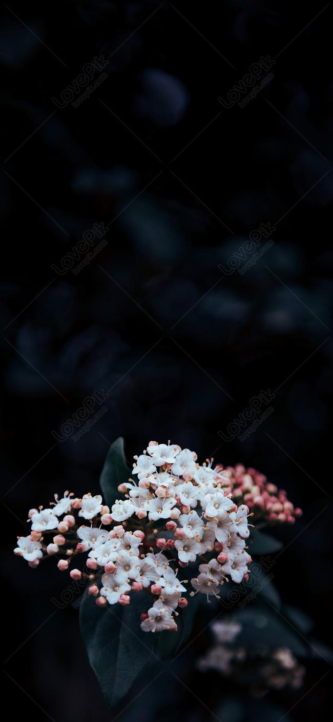 Gelap Wallpapers - Top Free Gelap Backgrounds - WallpaperAccess