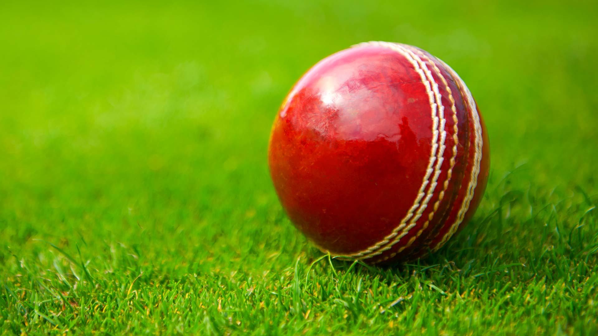 IPL 2023 Wallpapers - Top Free IPL 2023 Backgrounds - WallpaperAccess