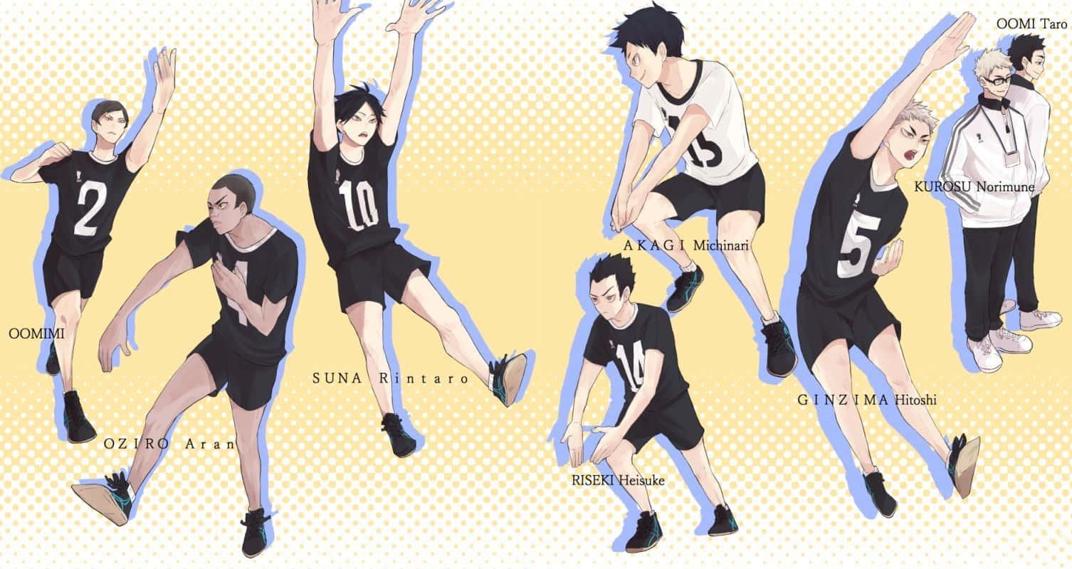 Haikyuu Inarizaki Wallpapers - Top Free Haikyuu Inarizaki Backgrounds ...