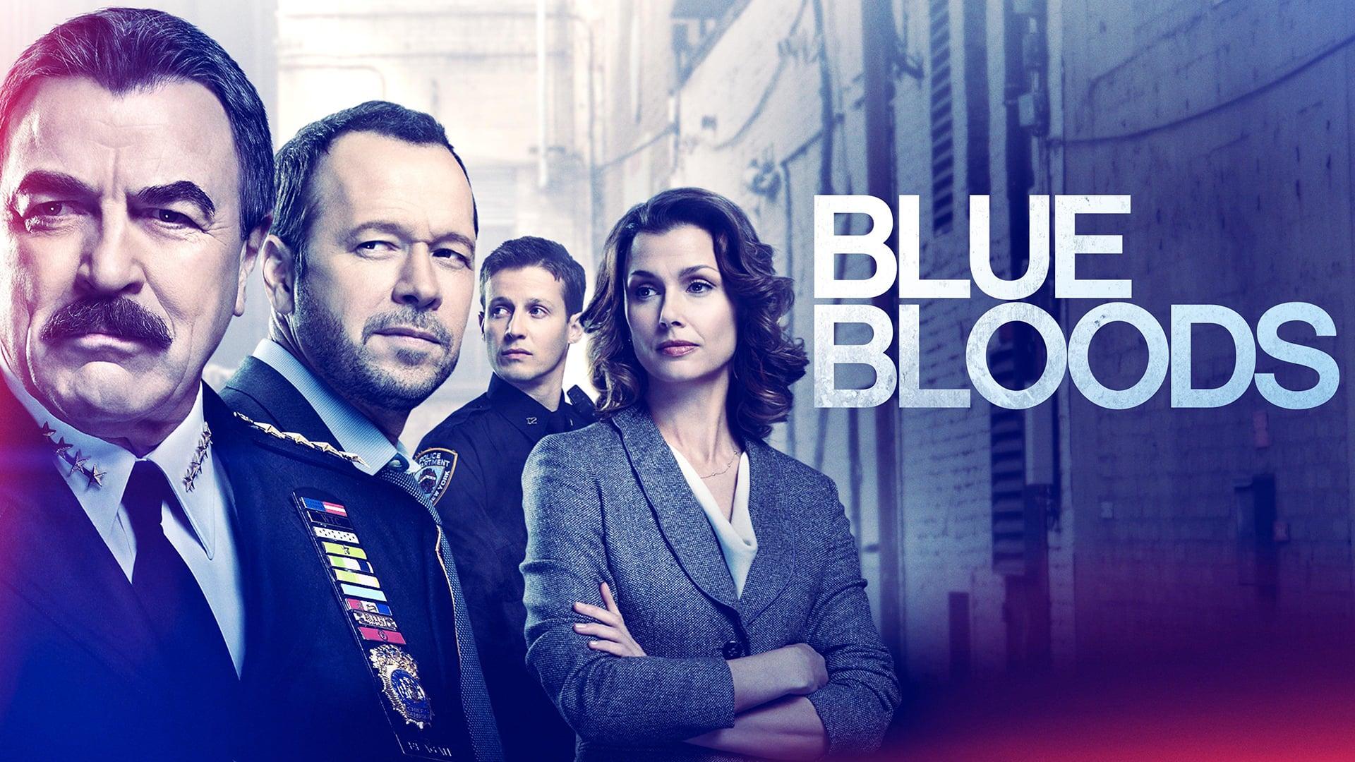 Blue Bloods Wallpapers - Top Free Blue Bloods Backgrounds - WallpaperAccess