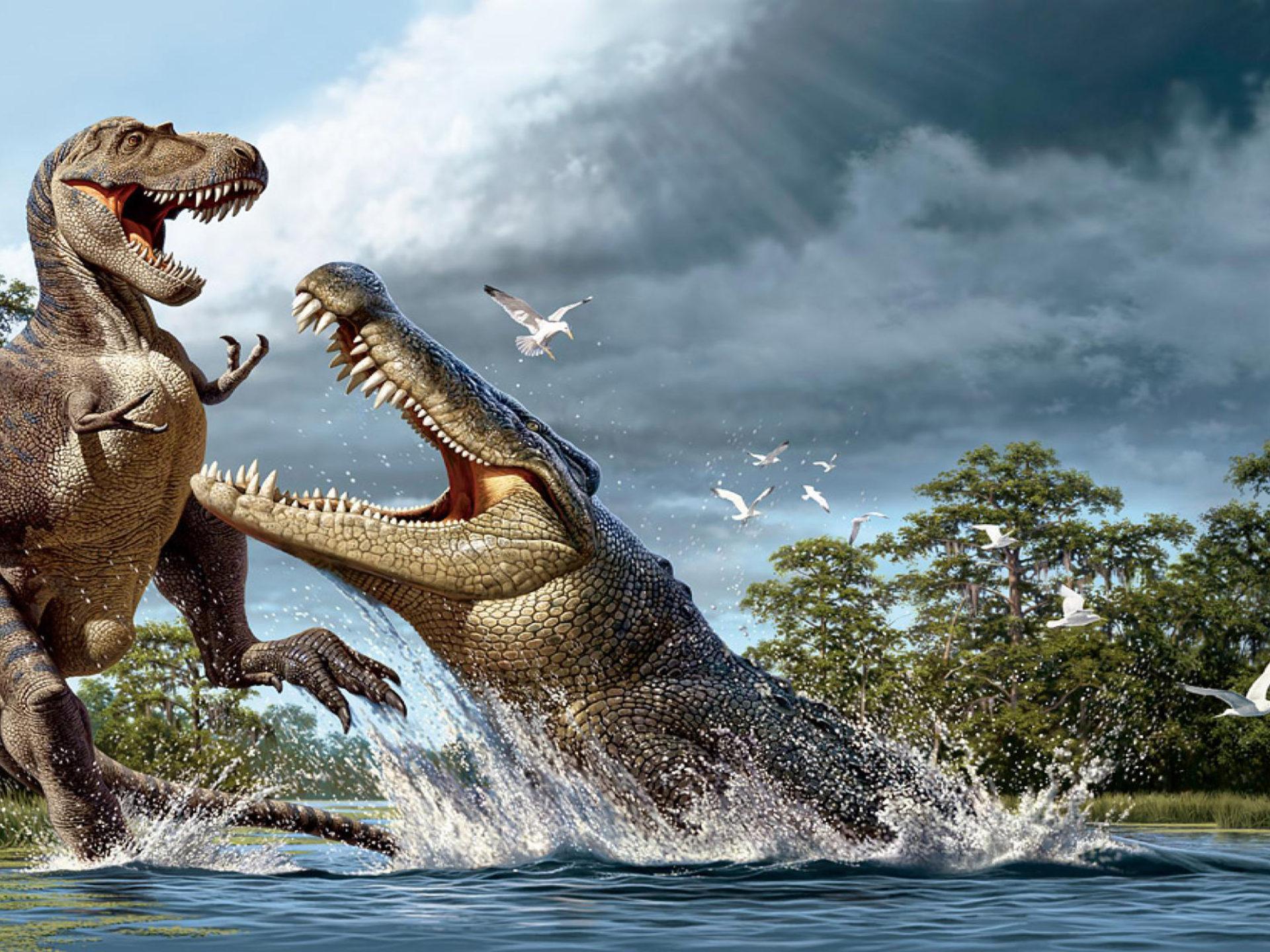 Animal Evolution Wallpapers - Top Free Animal Evolution Backgrounds ...