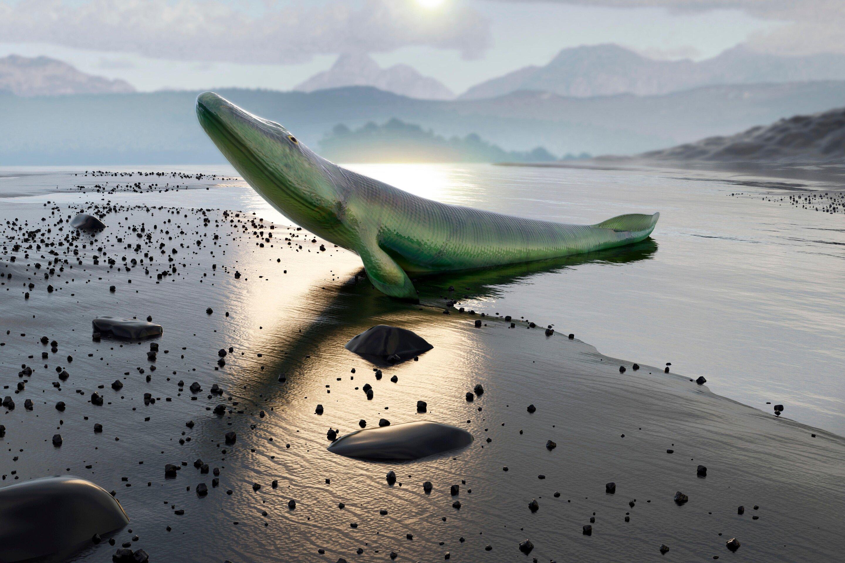 Animal Evolution Wallpapers - Top Free Animal Evolution Backgrounds ...