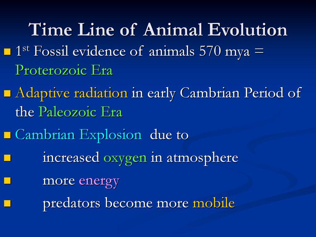 Animal Evolution Wallpapers - Top Free Animal Evolution Backgrounds ...