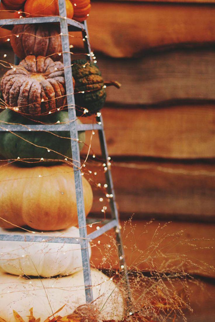 Autumn Decoration Wallpapers - Top Free Autumn Decoration Backgrounds ...