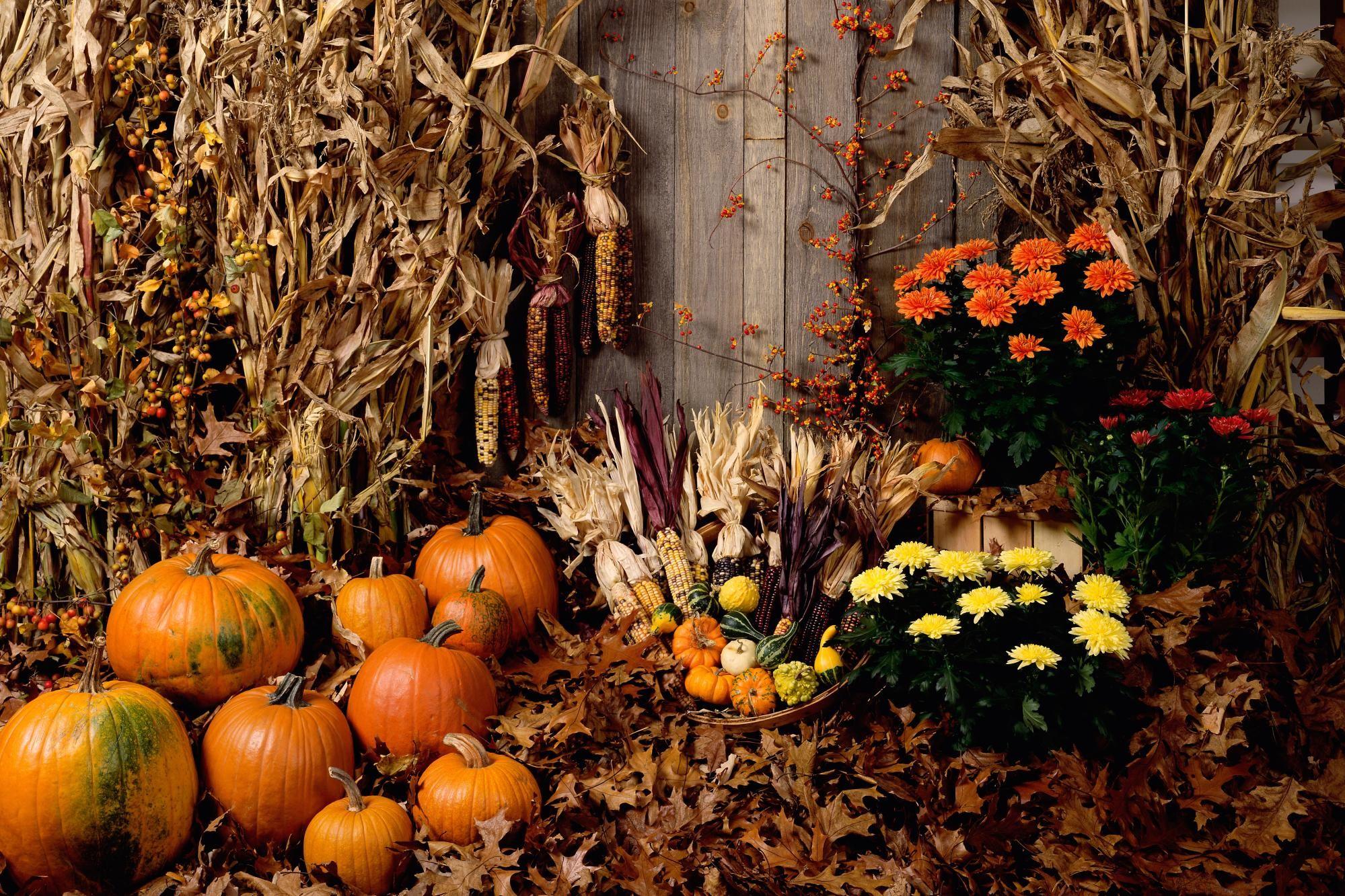 Autumn Decoration Wallpapers - Top Free Autumn Decoration Backgrounds ...