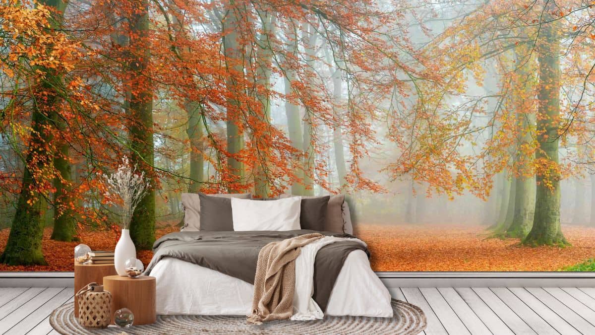 Autumn Decoration Wallpapers - Top Free Autumn Decoration Backgrounds ...