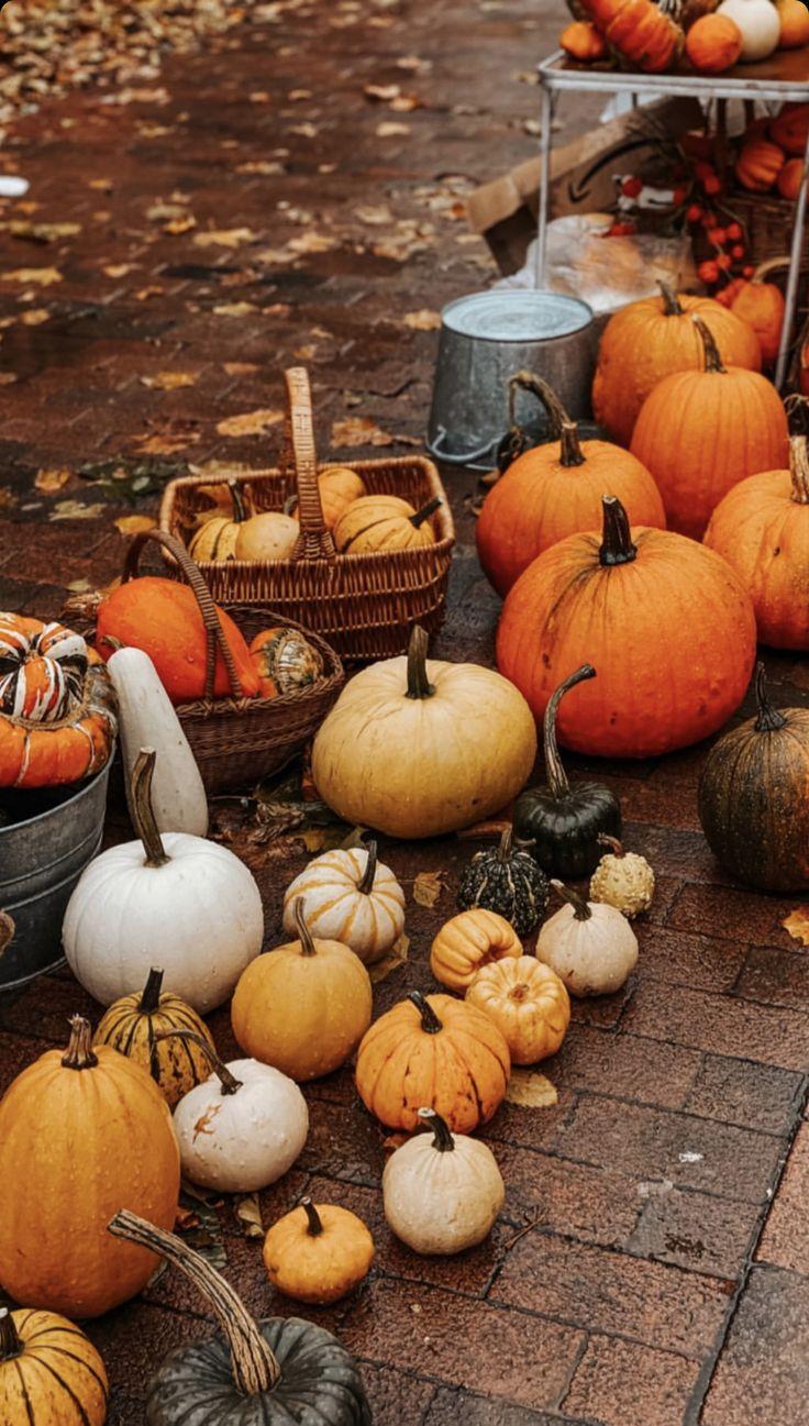 Autumn Decoration Wallpapers - Top Free Autumn Decoration Backgrounds ...