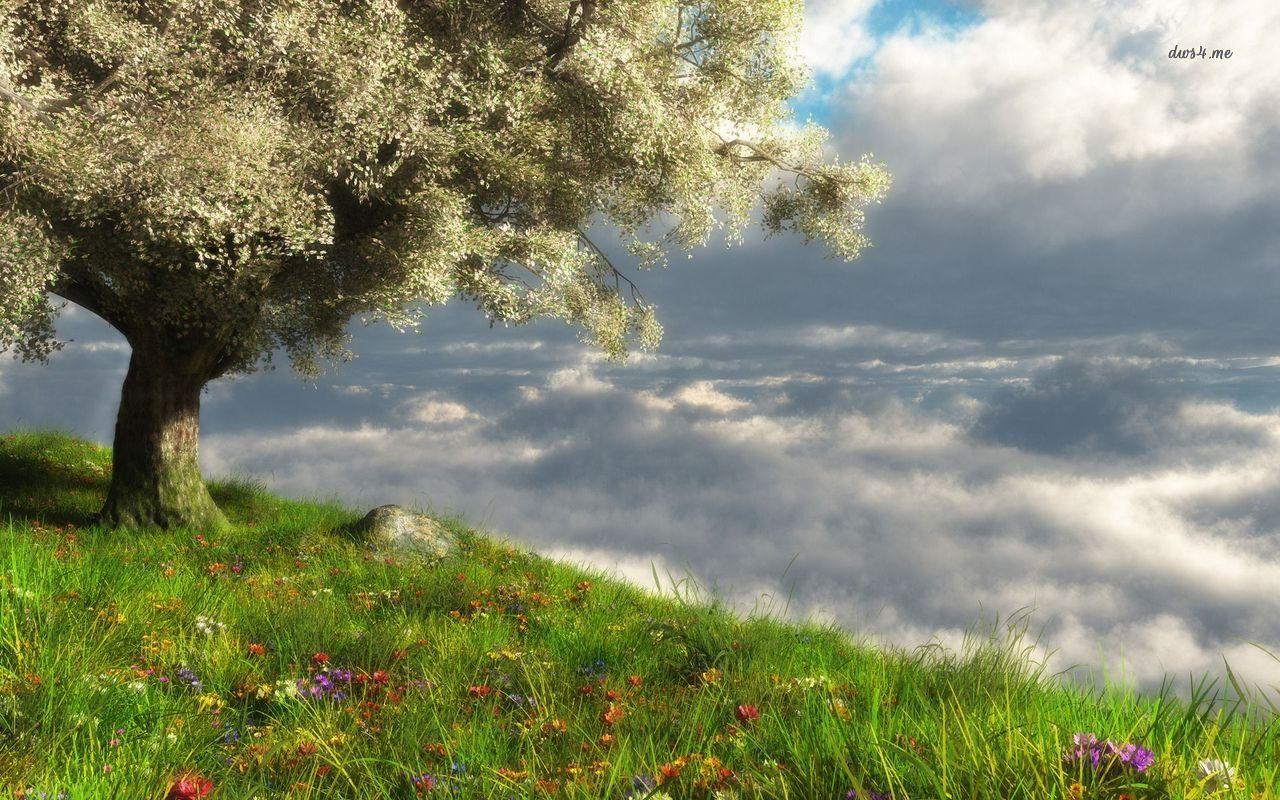 Hill Top Wallpapers - Top Free Hill Top Backgrounds - WallpaperAccess