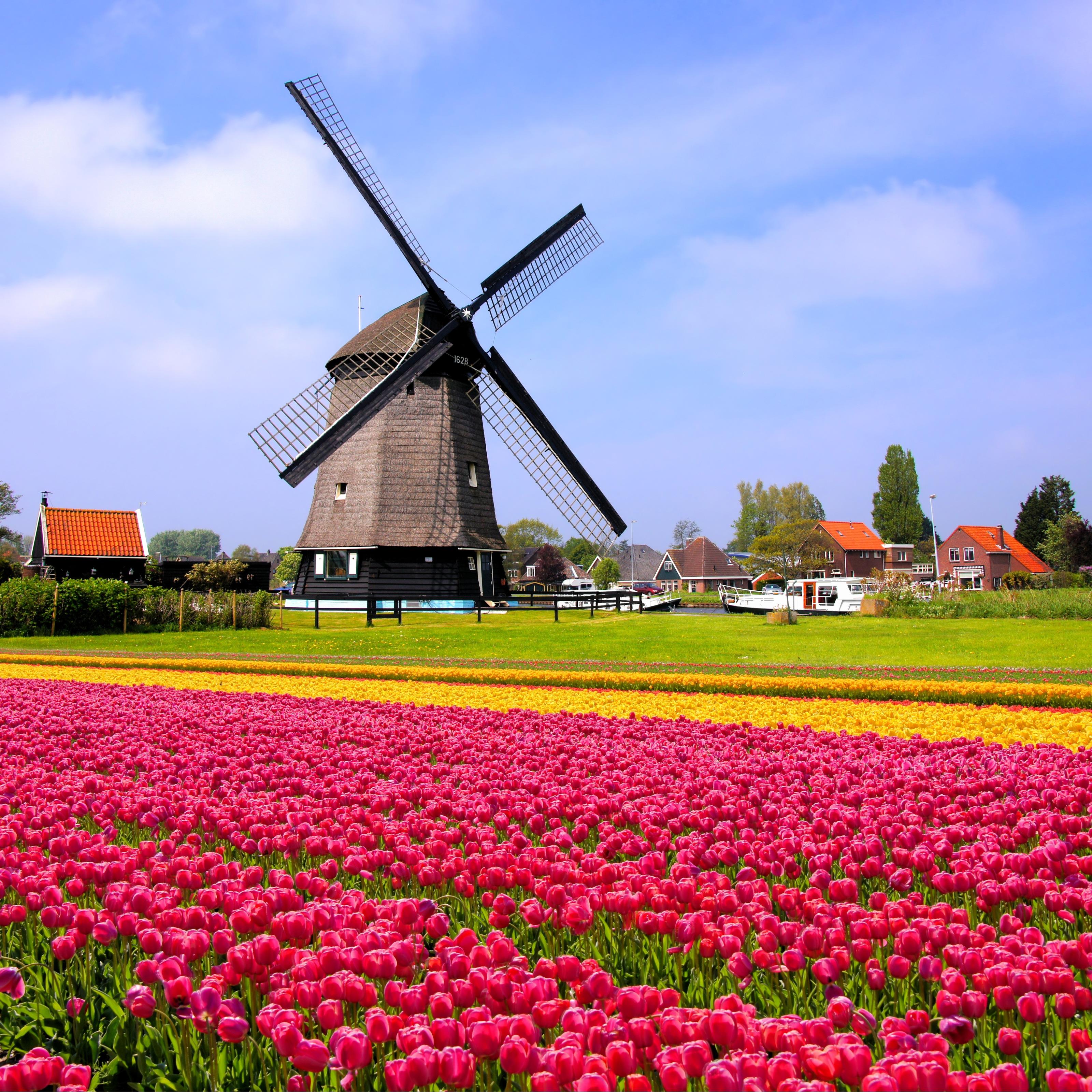 The Netherlands Wallpapers - Top Free The Netherlands Backgrounds ...