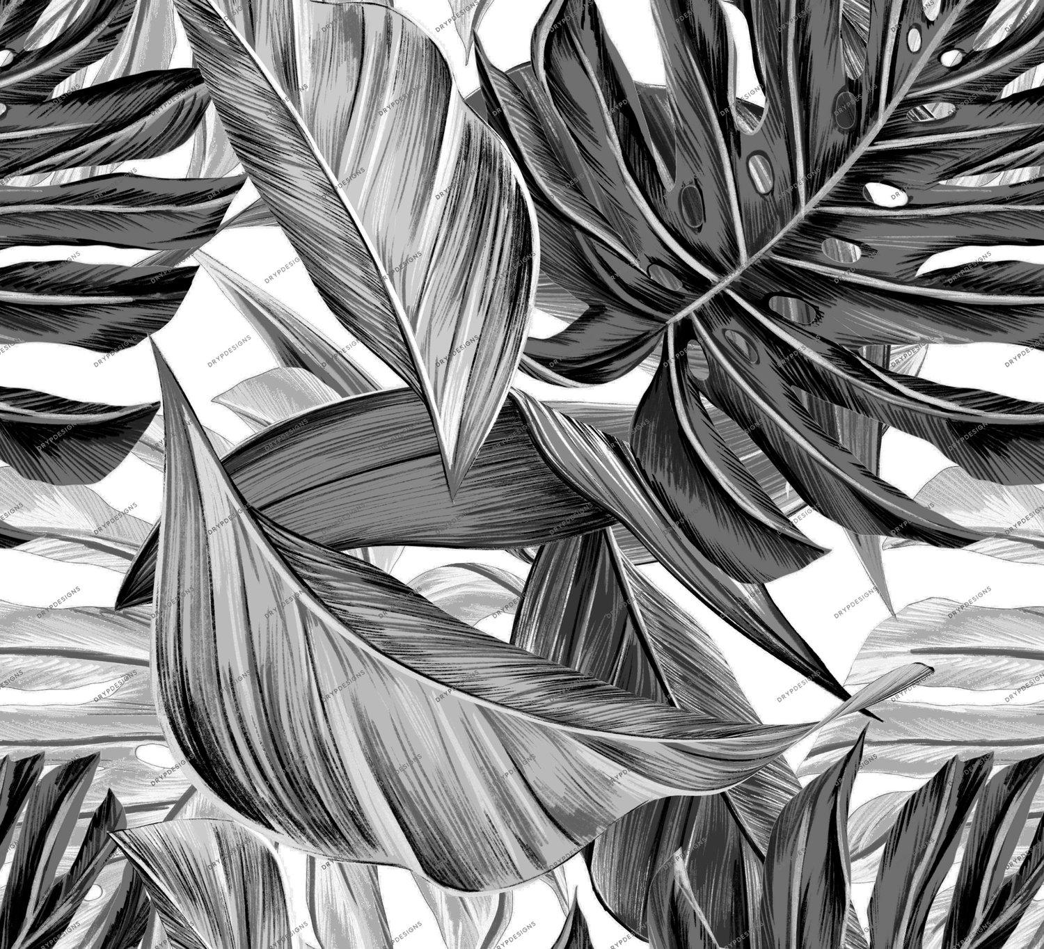 Monotone Wallpapers - Top Free Monotone Backgrounds - WallpaperAccess