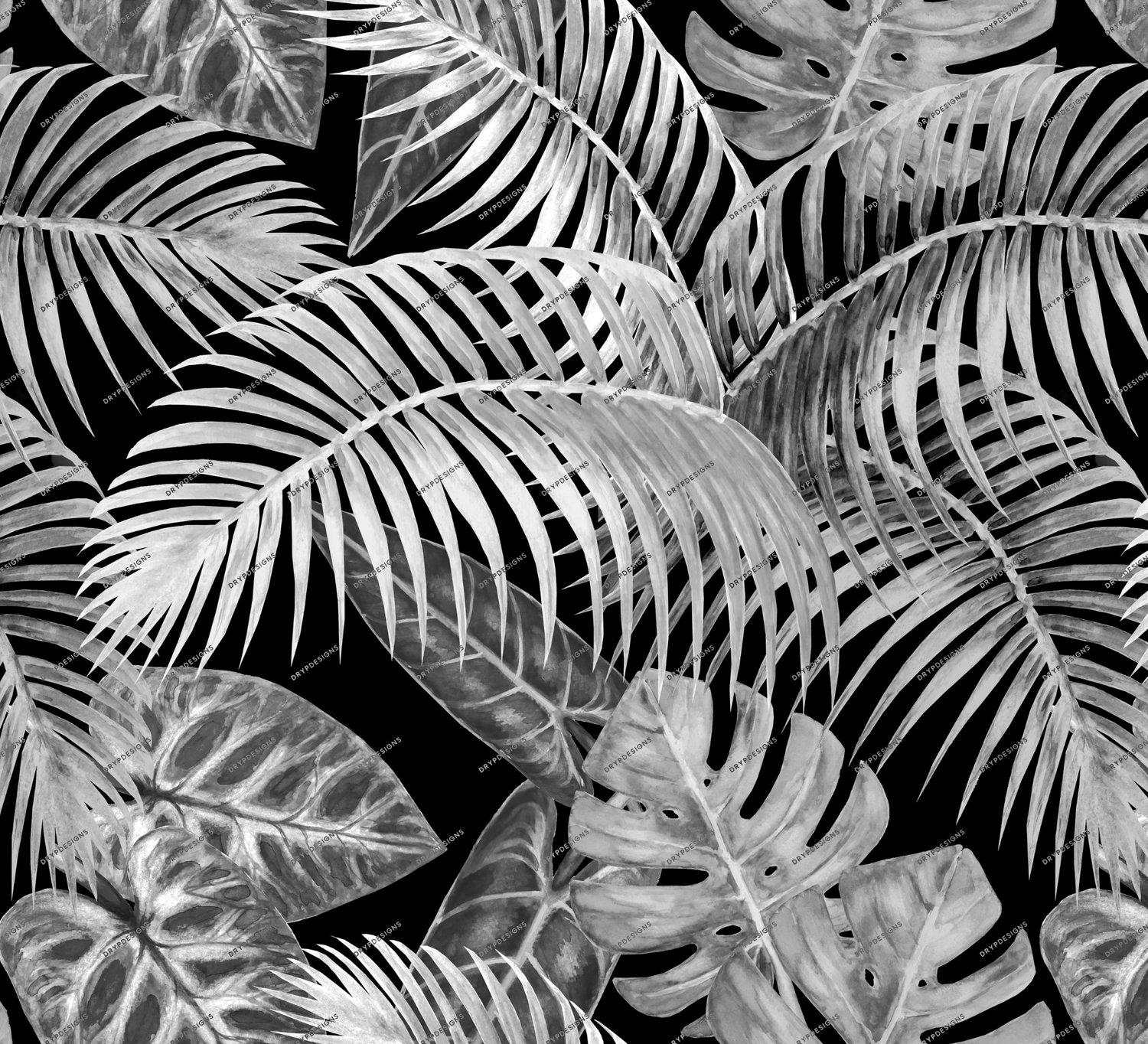 Monotone Wallpapers - Top Free Monotone Backgrounds - WallpaperAccess