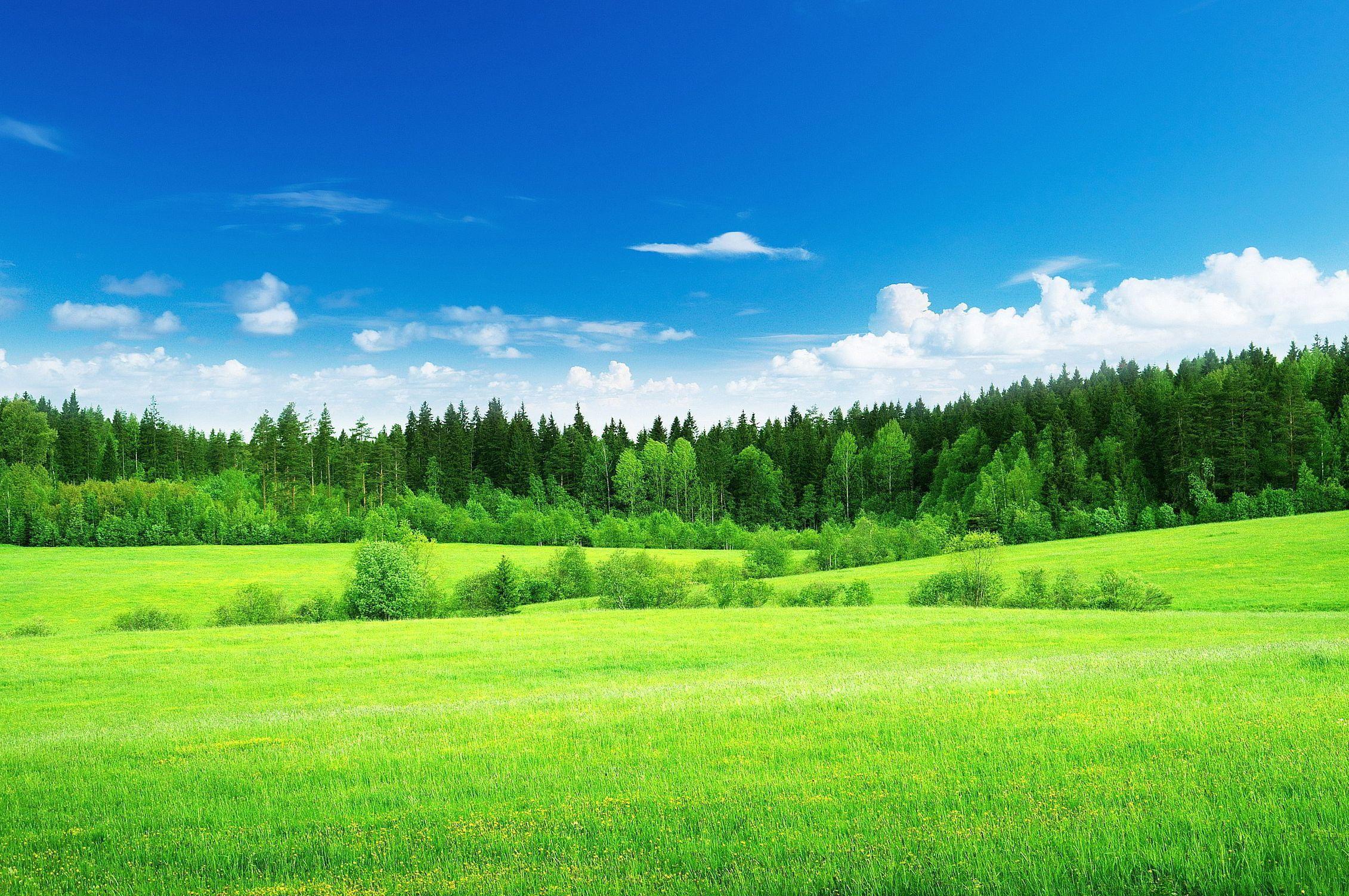 Habitat Wallpapers - Top Free Habitat Backgrounds - WallpaperAccess