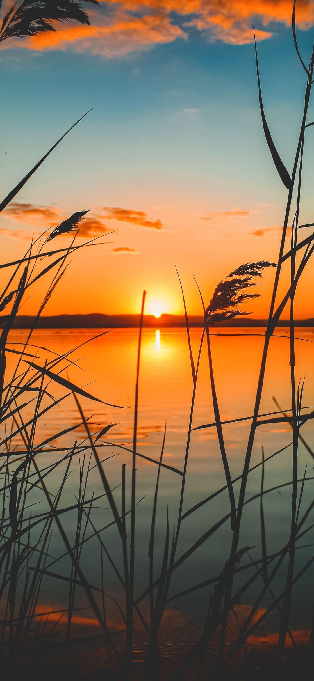 Sunset Android Wallpapers - Top Free Sunset Android Backgrounds - WallpaperAccess