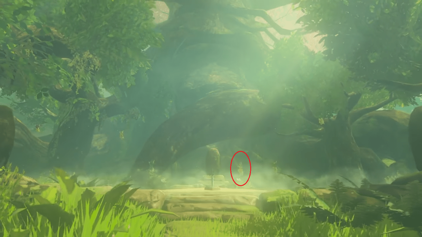 Korok Wallpapers - Top Free Korok Backgrounds - WallpaperAccess