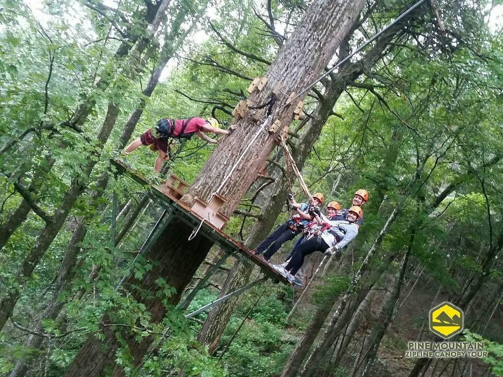 Zipline Wallpapers - Top Free Zipline Backgrounds - WallpaperAccess