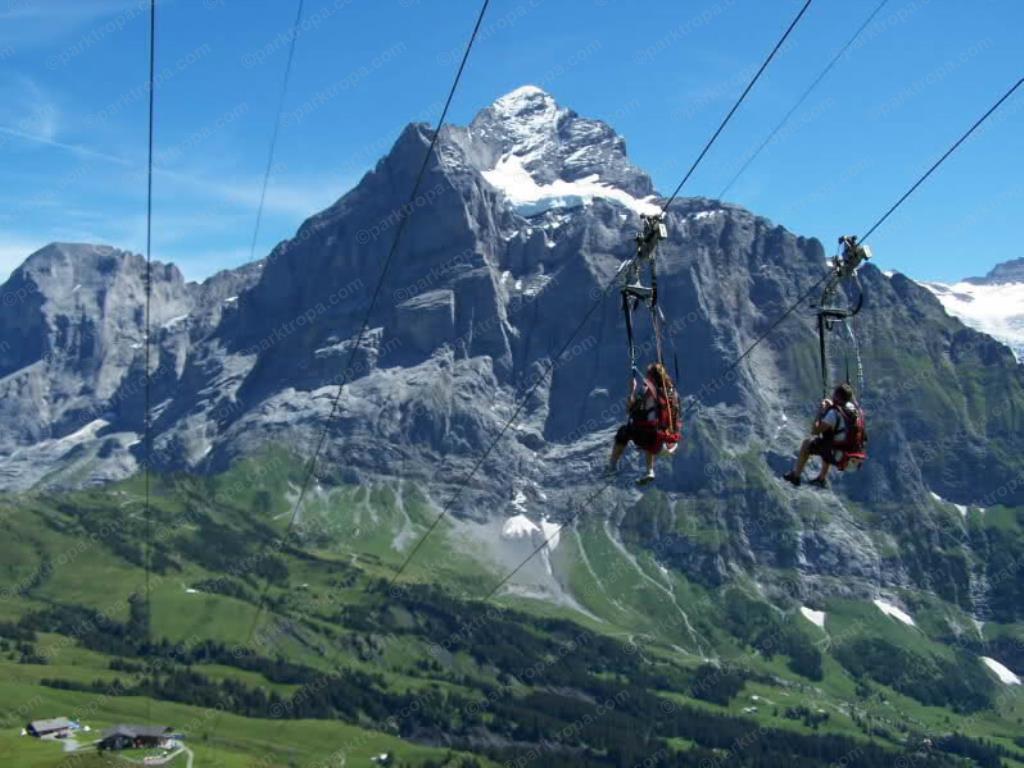 Zipline Wallpapers - Top Free Zipline Backgrounds - WallpaperAccess