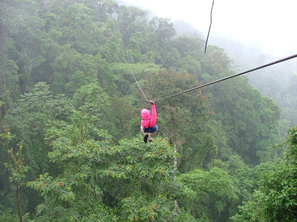 Zipline Wallpapers - Top Free Zipline Backgrounds - WallpaperAccess