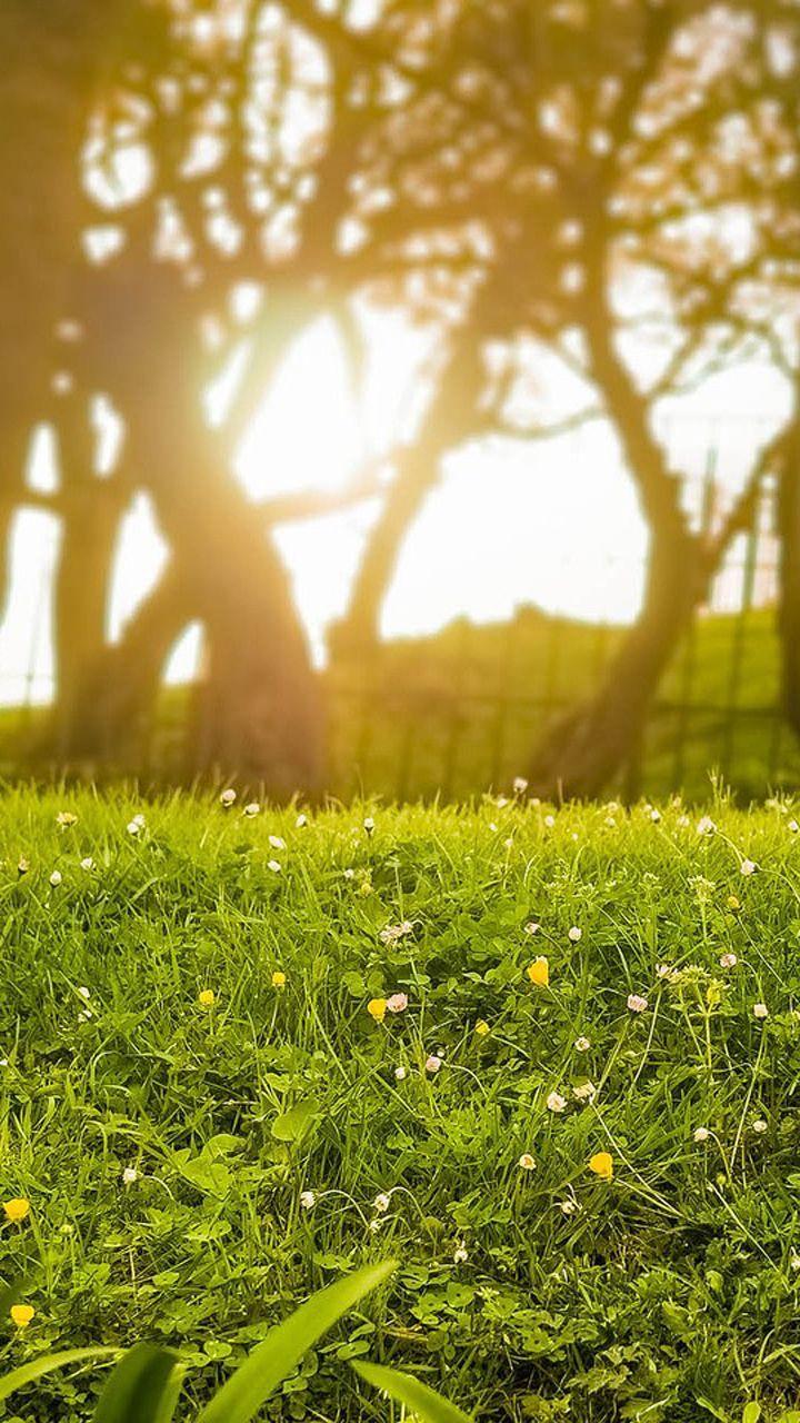 Vintage High Resolution Wallpapers - Top Free Vintage High Resolution ...