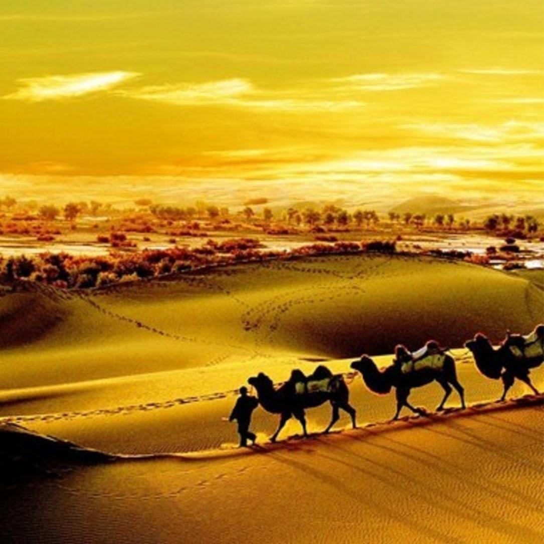 Silk Road Wallpapers - Top Free Silk Road Backgrounds - WallpaperAccess