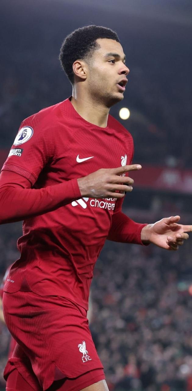 Cody Gakpo Wallpapers - Top Free Cody Gakpo Backgrounds - WallpaperAccess