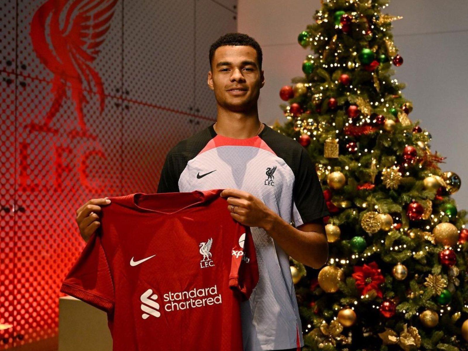 Cody Gakpo Wallpapers - Top Free Cody Gakpo Backgrounds - WallpaperAccess