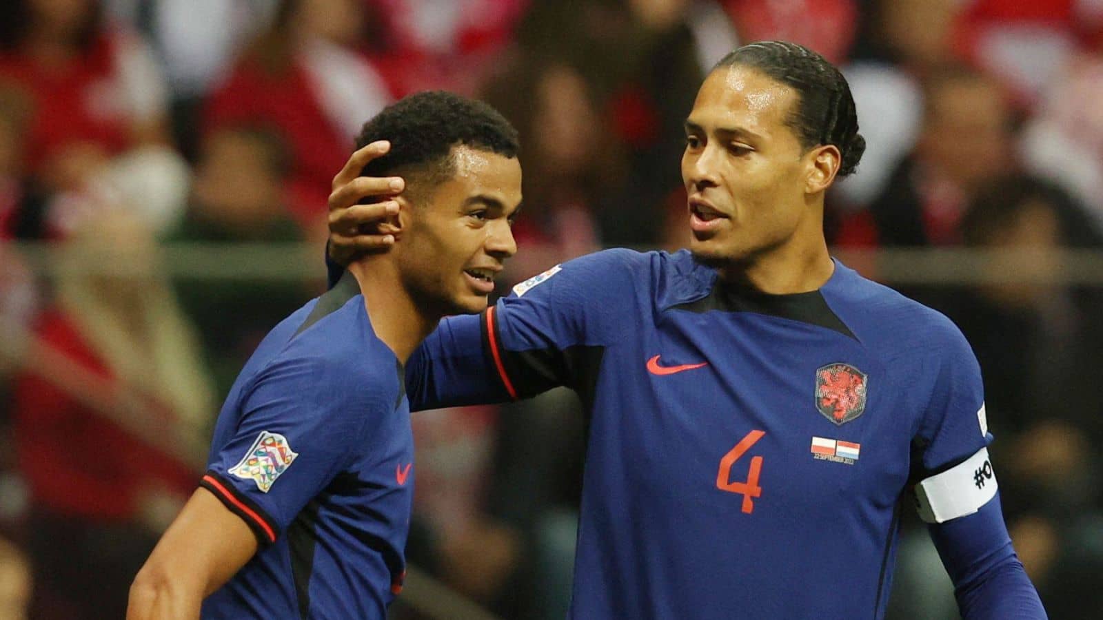 Cody Gakpo Wallpapers - Top Free Cody Gakpo Backgrounds - WallpaperAccess