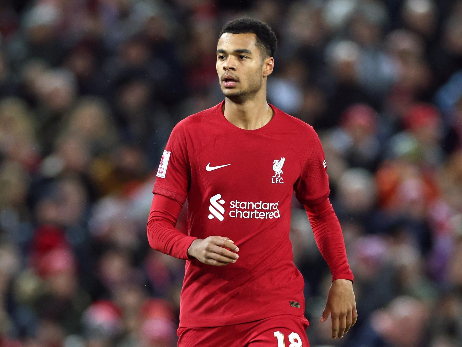 Cody Gakpo Wallpapers - Top Free Cody Gakpo Backgrounds - WallpaperAccess