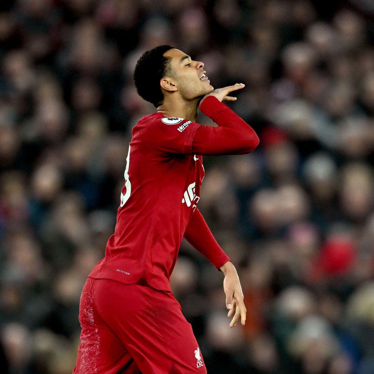 Cody Gakpo Wallpapers - Top Free Cody Gakpo Backgrounds - WallpaperAccess