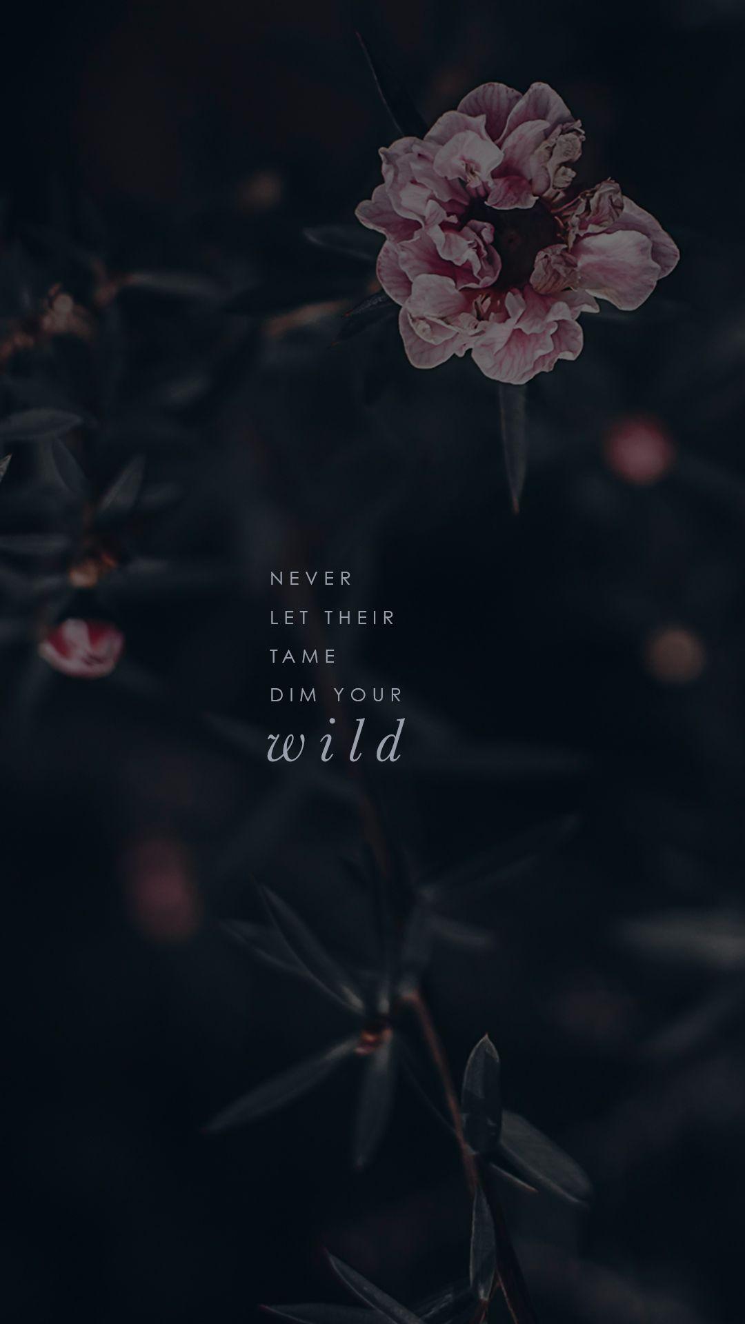 Meaningful Wallpapers - Top Free Meaningful Backgrounds - WallpaperAccess