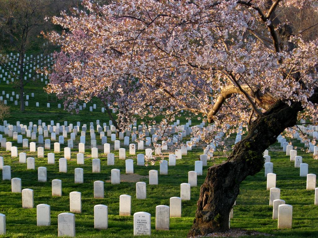 Arlington National Cemetery Wallpapers - Top Free Arlington National ...