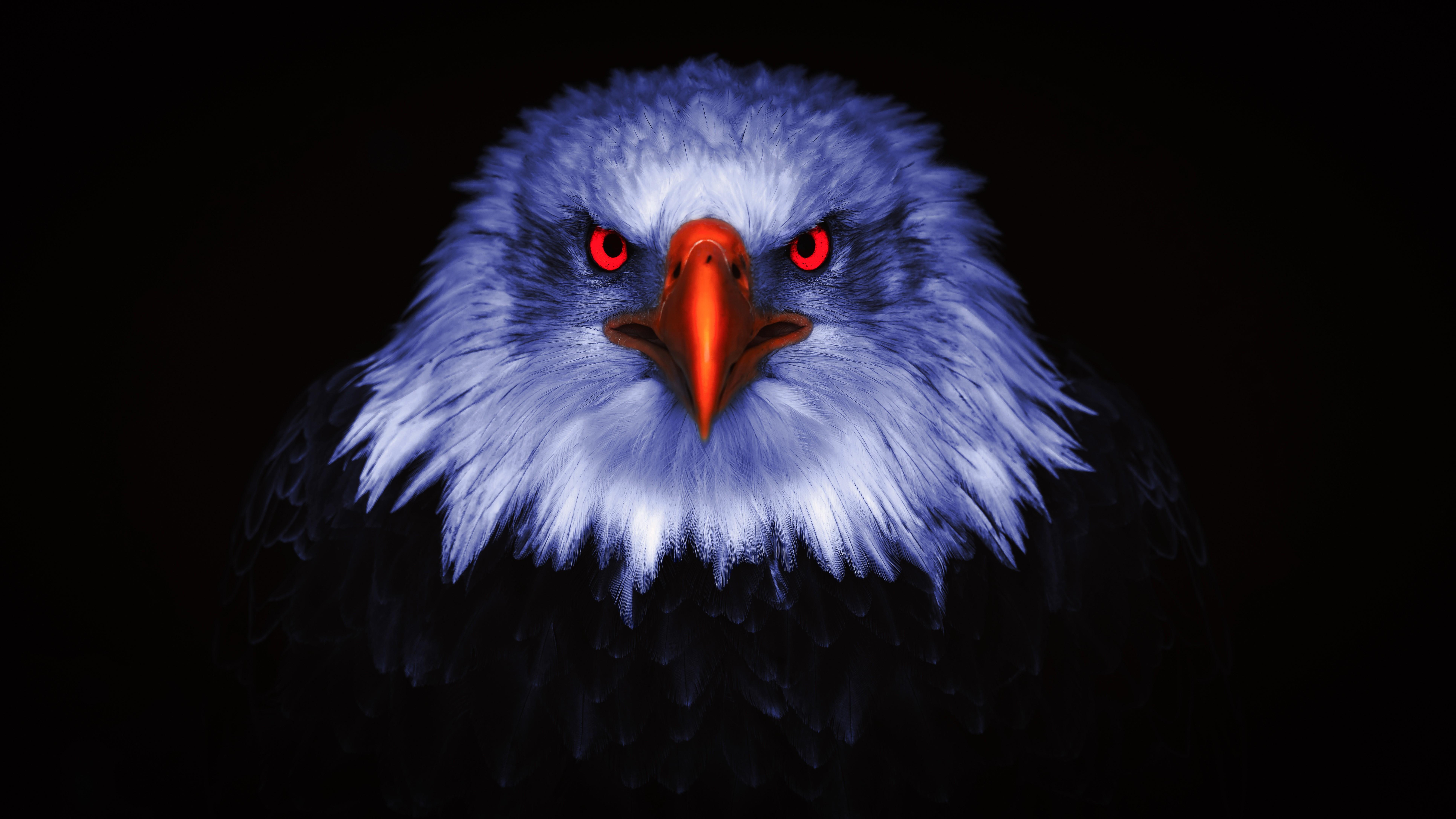 Eagle 8k Wallpapers - Top Free Eagle 8k Backgrounds - WallpaperAccess