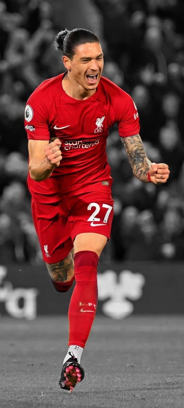 Darwin Nunez Liverpool Wallpapers - Top Free Darwin Nunez Liverpool ...