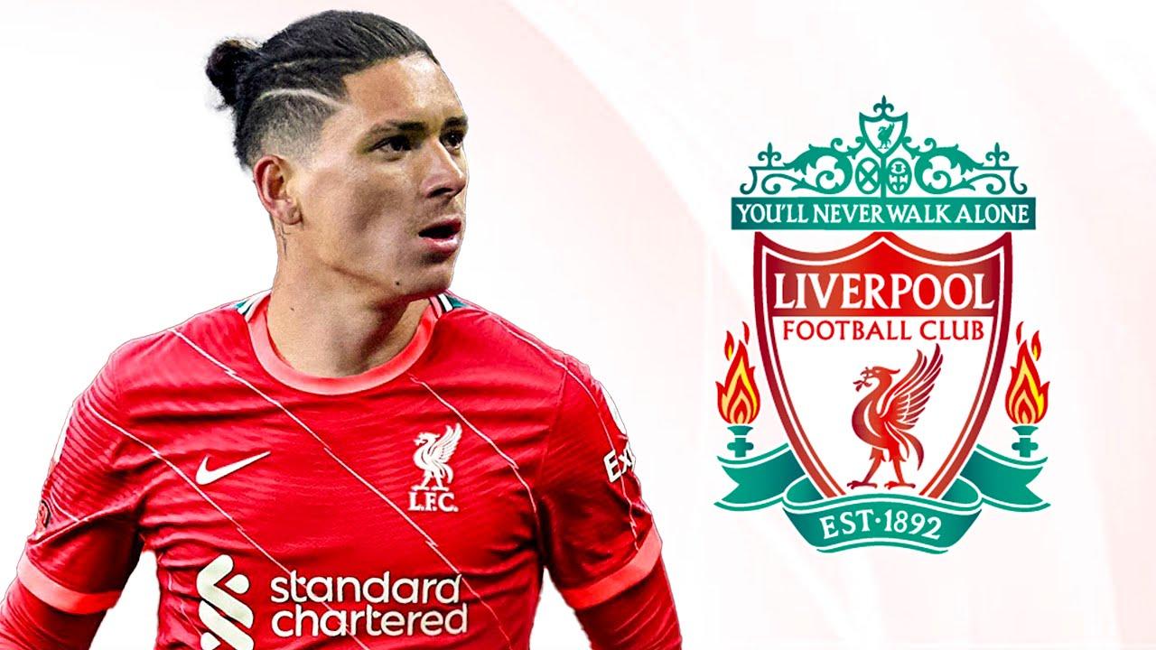 Darwin Nunez Liverpool Wallpapers - Top Free Darwin Nunez Liverpool ...