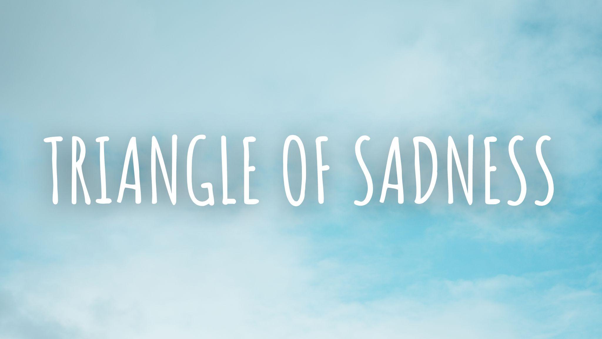 Triangle of Sadness Wallpapers - Top Free Triangle of Sadness ...