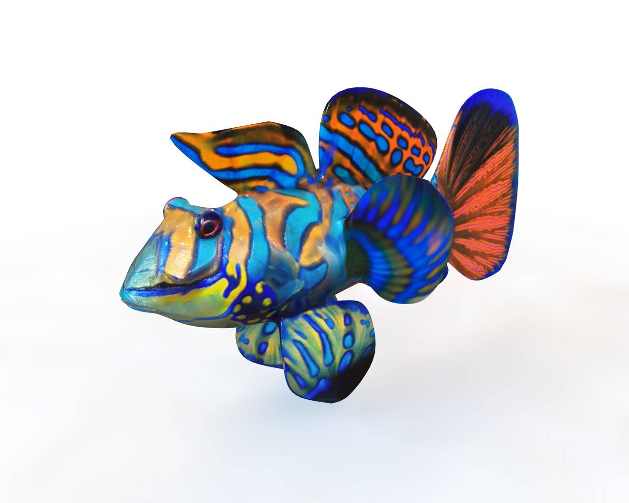 Mandarin Fish Wallpapers - Top Free Mandarin Fish Backgrounds - WallpaperAccess