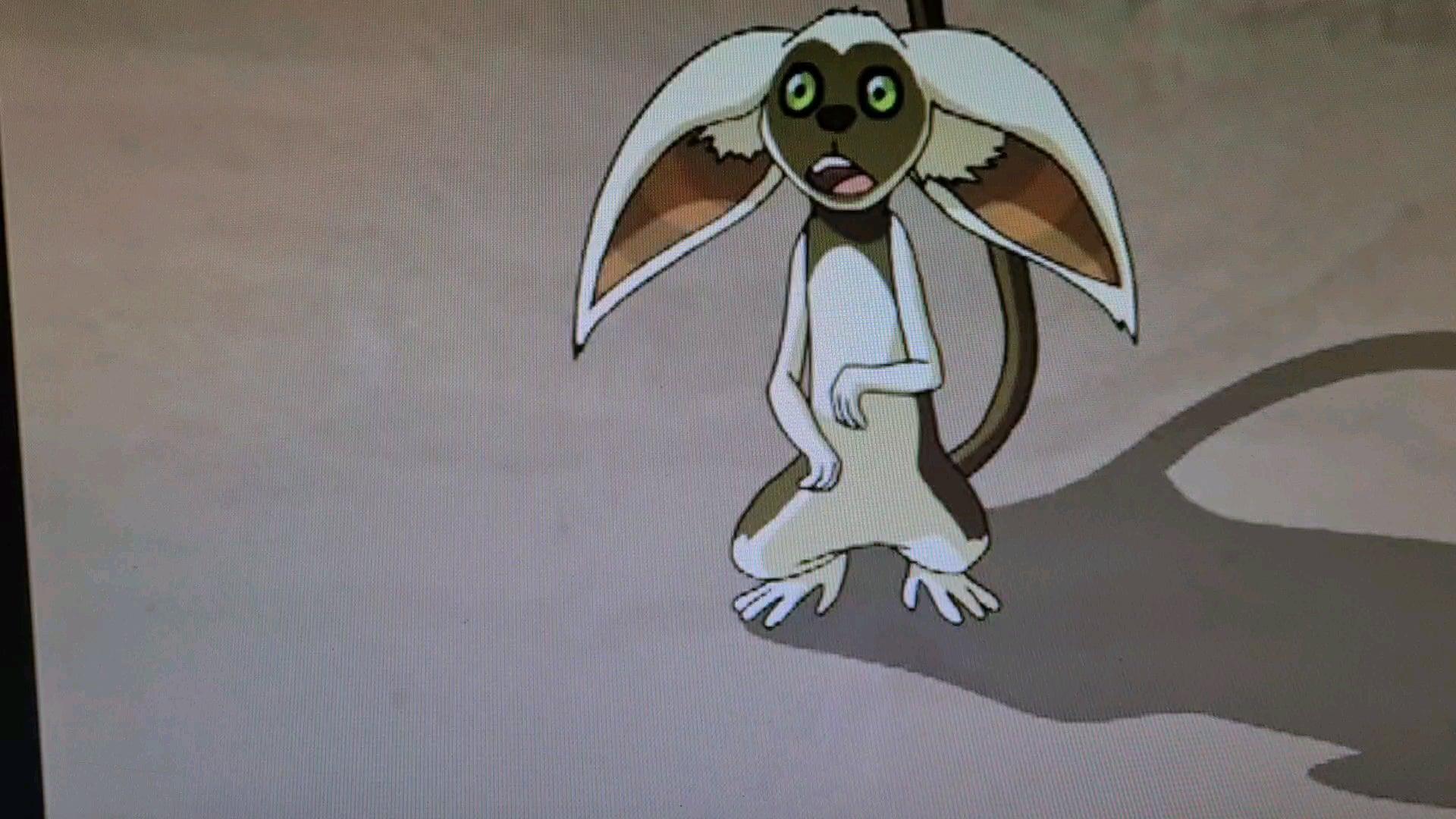 Appa and Momo Wallpapers - Top Free Appa and Momo Backgrounds ...