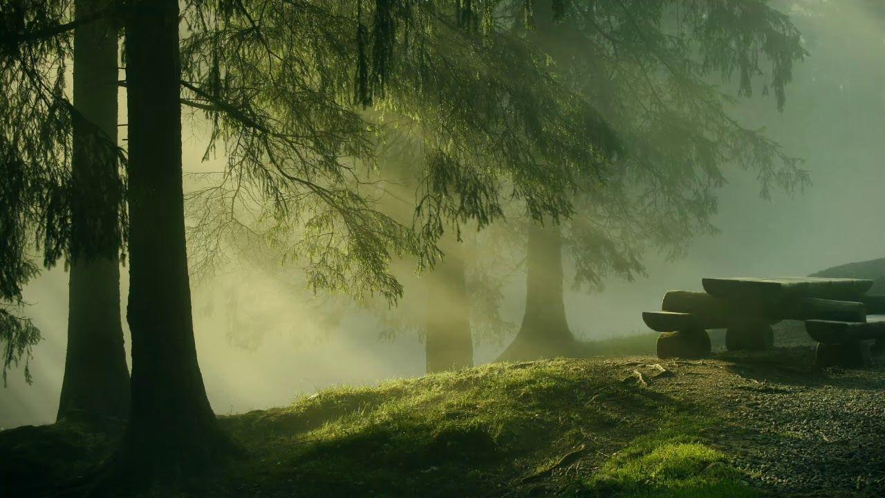 Relaxing Music Wallpapers - Top Free Relaxing Music Backgrounds ...