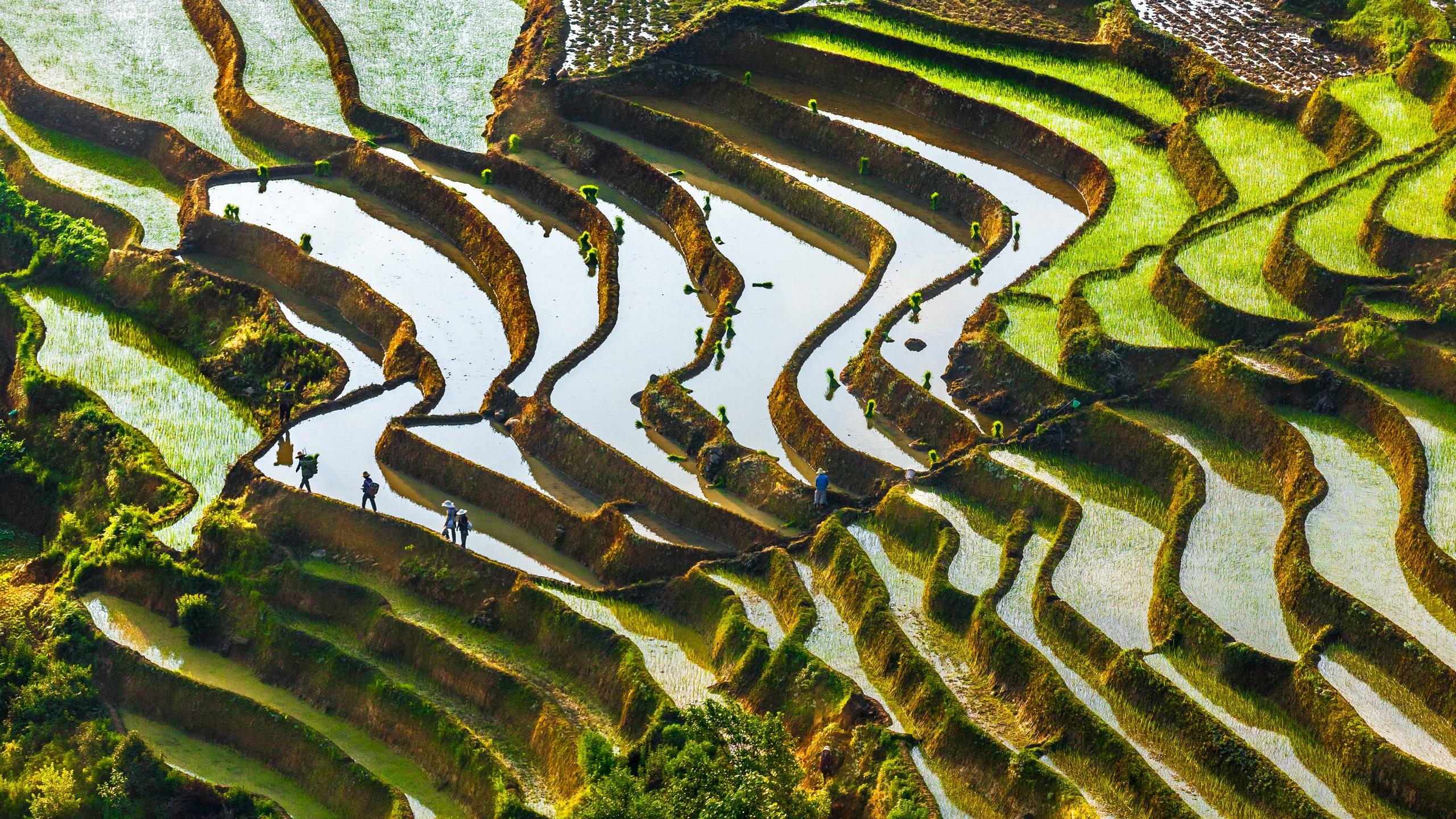 Yunnan Wallpapers - Top Free Yunnan Backgrounds - WallpaperAccess