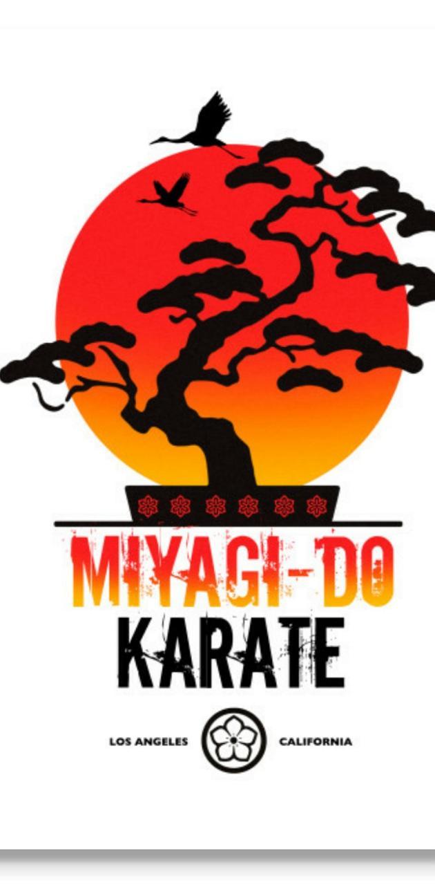Miyagi-Do Wallpapers - Top Free Miyagi-Do Backgrounds - WallpaperAccess