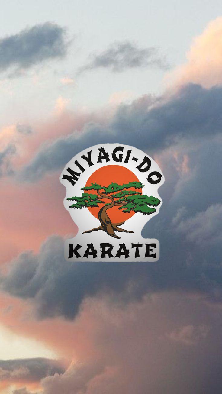 Miyagi-Do Wallpapers - Top Free Miyagi-Do Backgrounds - WallpaperAccess